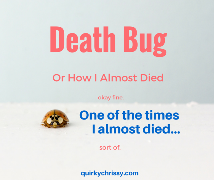 Death Bug AKA: How I Almost Died Last Night – Quirky Chrissy